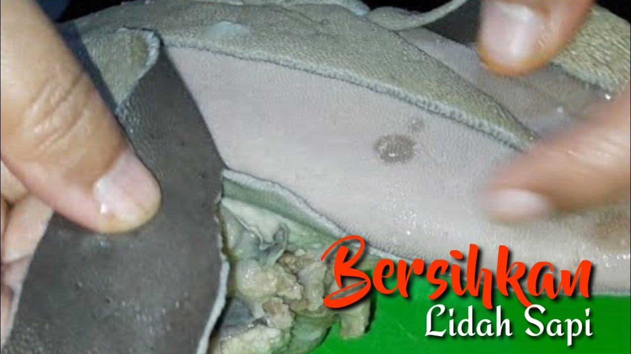 Cara Mudah Bersihkan Lidah Sapi dan Menyajikannya menjadi hidangan ...