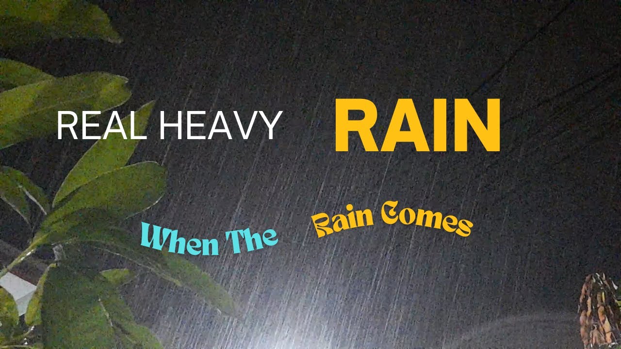 Real rain, Heavy Rain. for Relax and Sleepy - YouTube