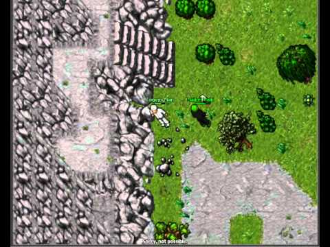 tibia cazando wyvern - YouTube