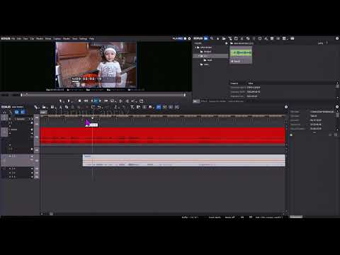 EDIUS Eğitim Videoları: Video Editlemeye Giriş