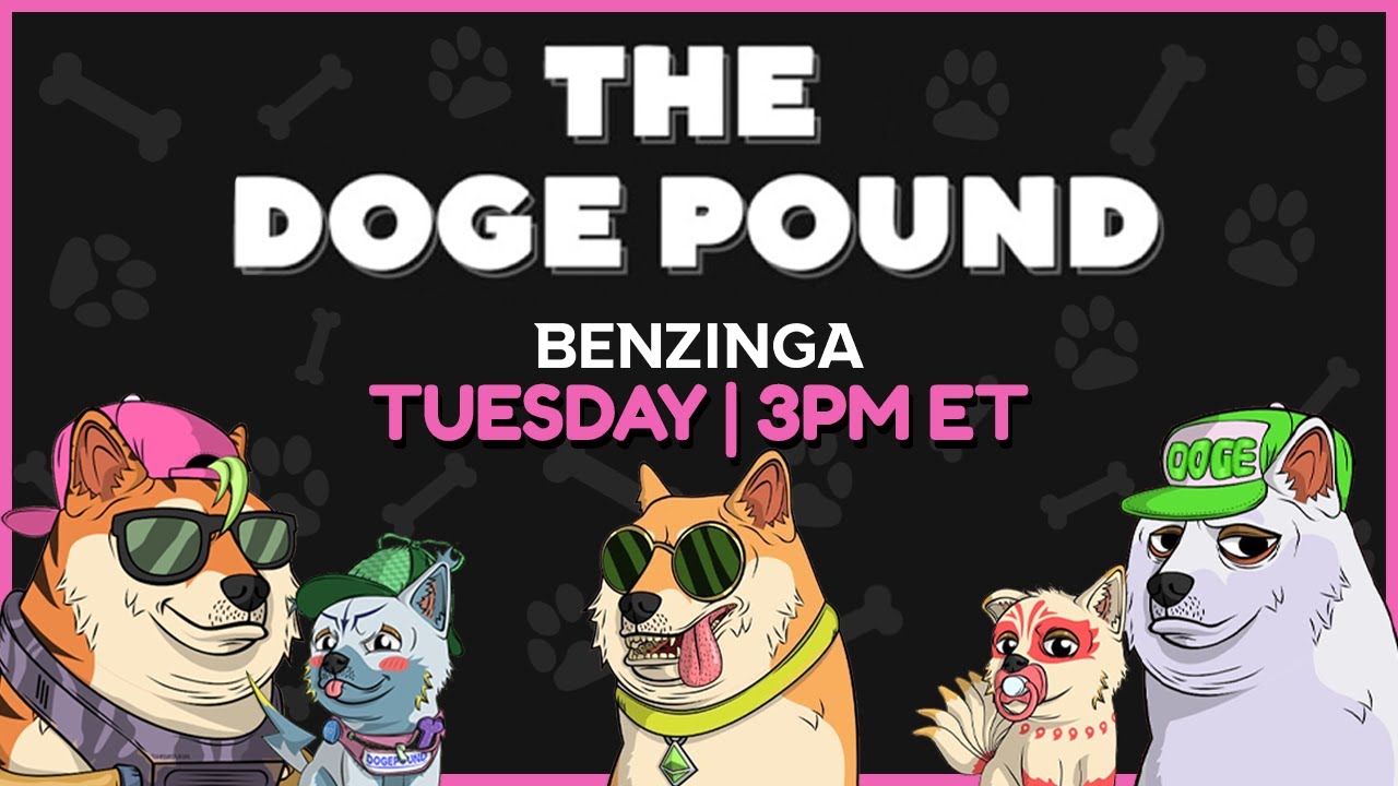 NEXT HUGE NFT? | The Doge Pound | The Roadmap | Crypto LIVE 🚨 - YouTube