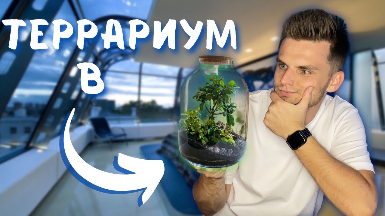 СДЕЛАЛ ВЕЧНЫЙ ТЕРРАРИУМ ЗА 5 МИНУТ Youtube