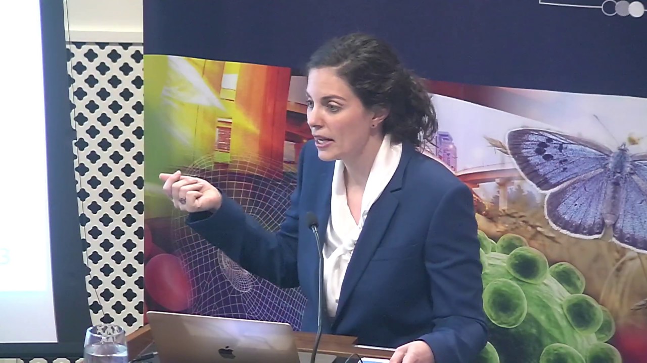 'Moral outrage in the digital age' with Prof Molly Crockett - YouTube