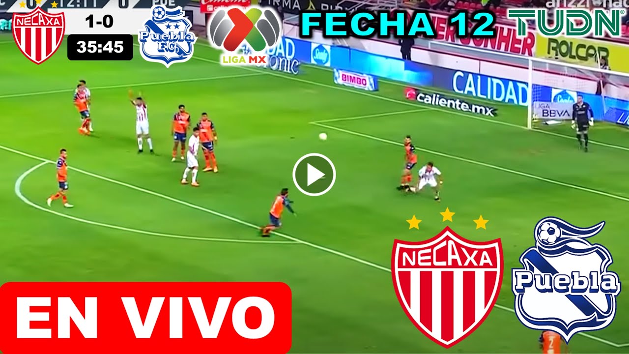 Necaxa vs. Puebla en vivo, donde ver, a que hora juega necaxa vs ...