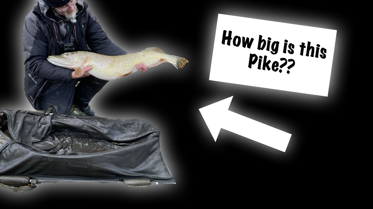 Exploring the Mona scale. How valid is the Mona scale in todays piking ...