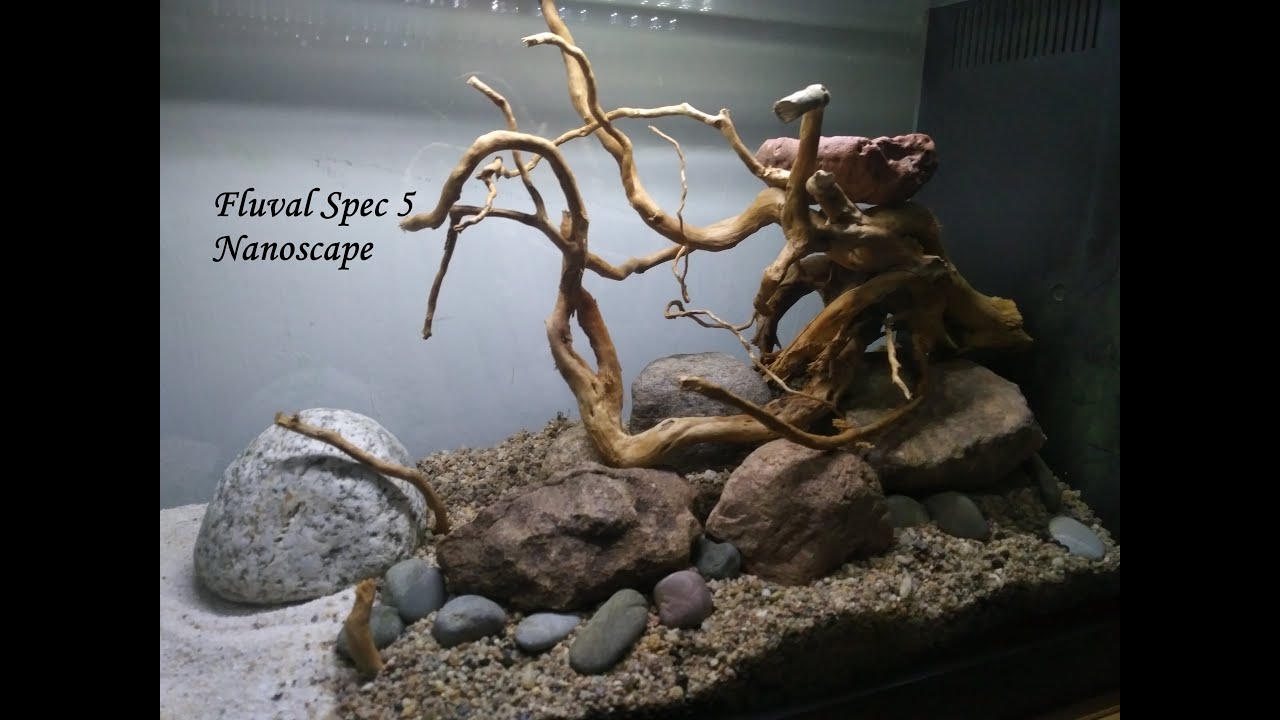 Fluval Spec 5 Aquascape mit Amanogarnelen Backlight LED Nano scape 20 ...