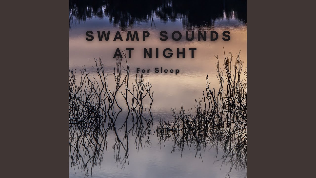 Swamp Ambience at Dusk - YouTube