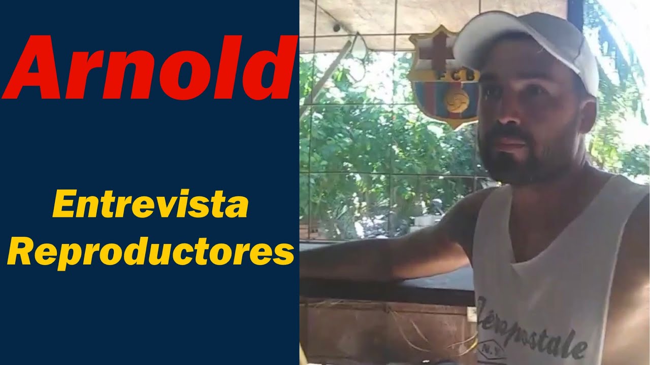ARNOLD LA ENTREVISTA Y REPRODUCTORES PALOMERO CUBANO DE ARROYO ARENA LA ...