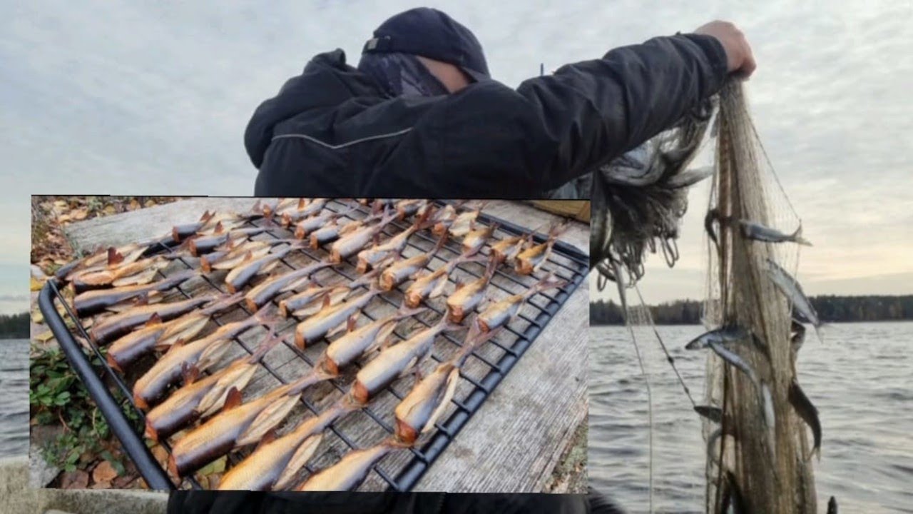 Syksyn viimeiset muikut | Talveen valmistautumista | @eramiehenmatkassa ...