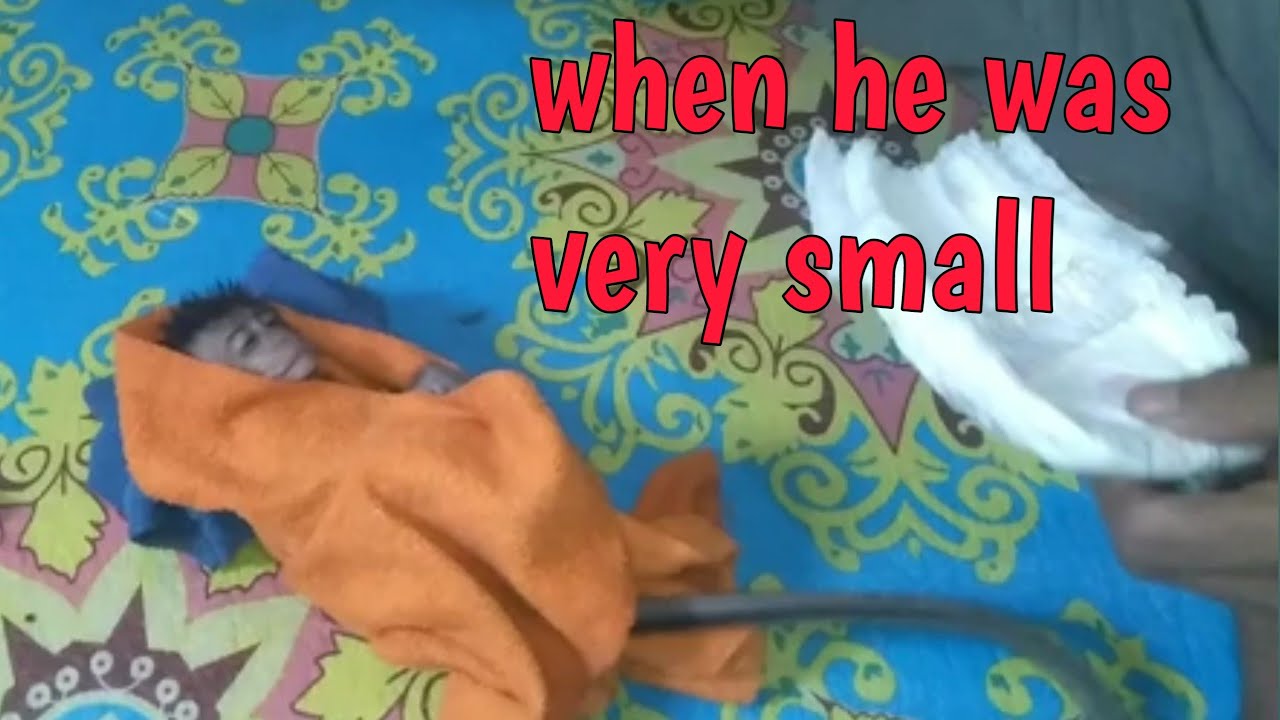 remembering when daddy put the baby little ray monkey to sleep - YouTube