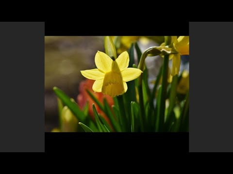 Nergiz Necef 5-6 ci sinif yeni nəşr.seh 196,197,198 - YouTube