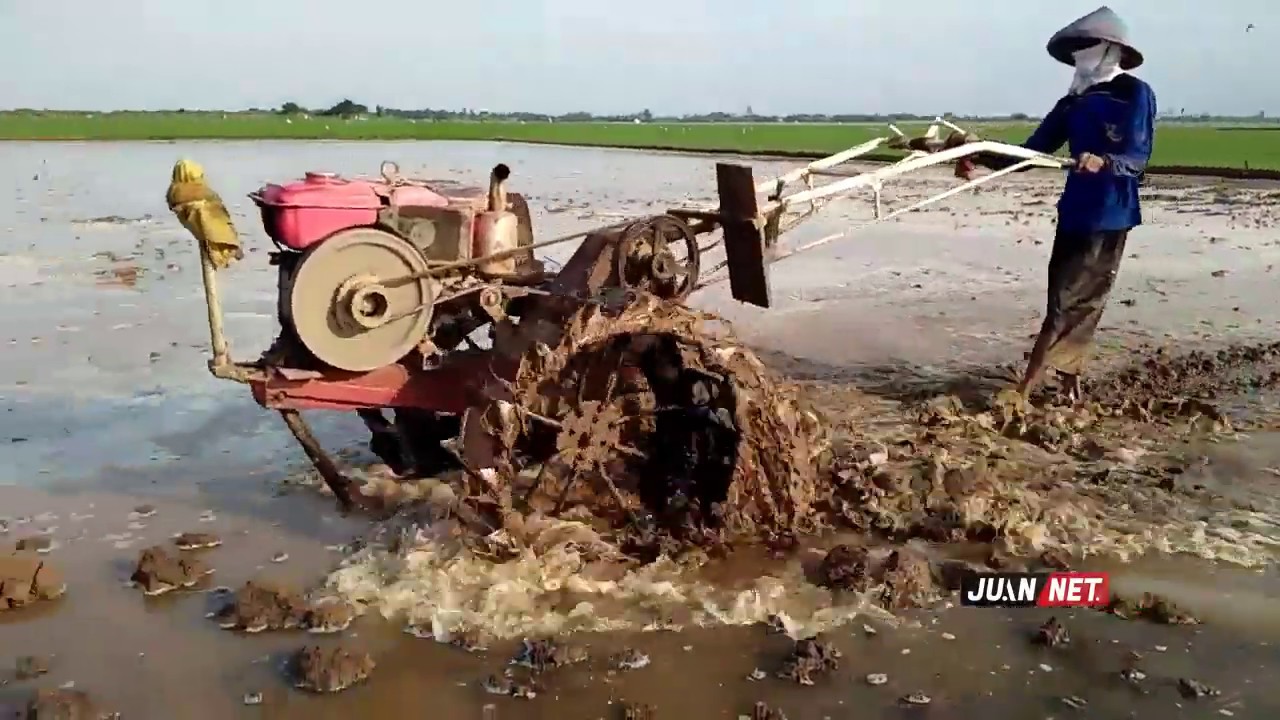 Happy Rice Field Tractor Leveling Process/Traktor Indonesia - YouTube
