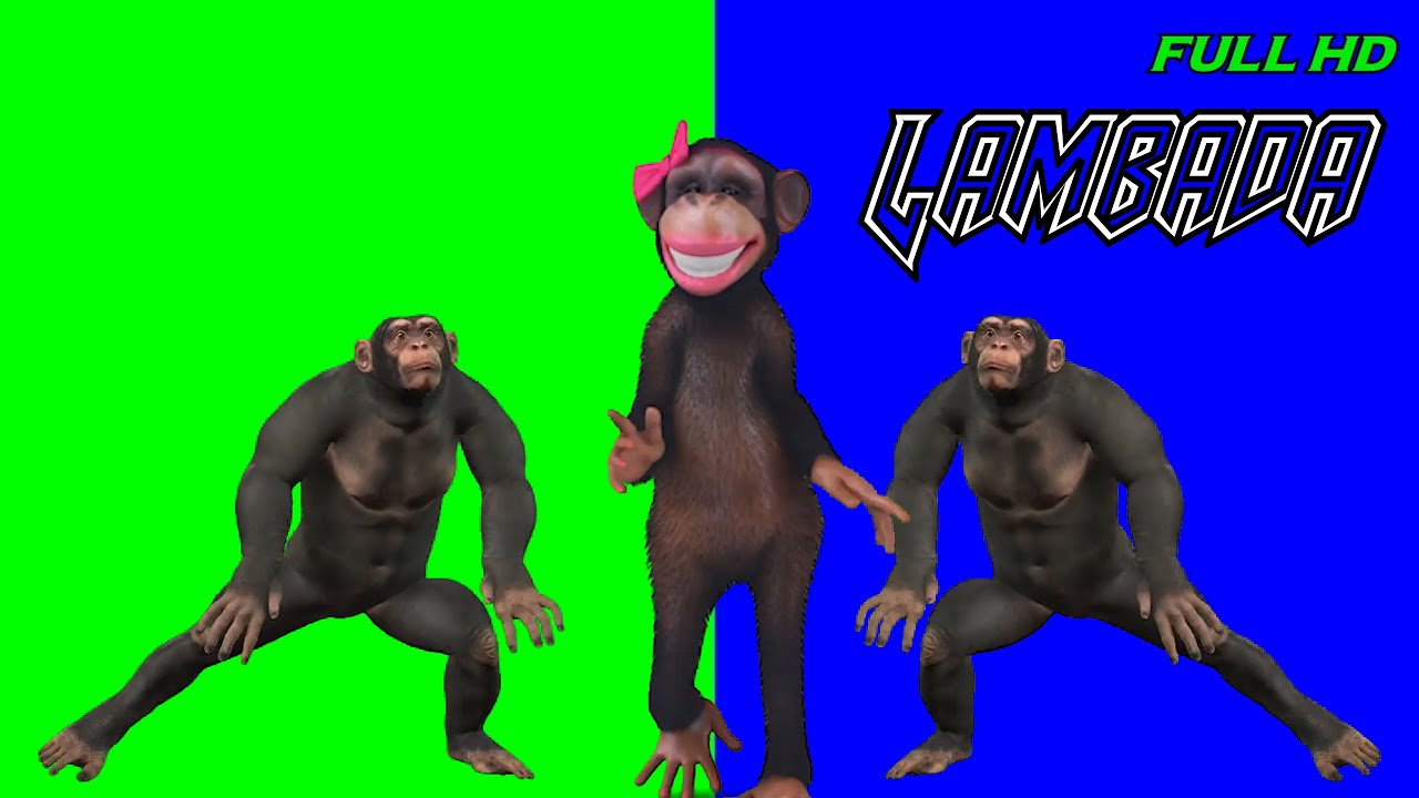 Dancing monkeys. Green screen. Free. - YouTube