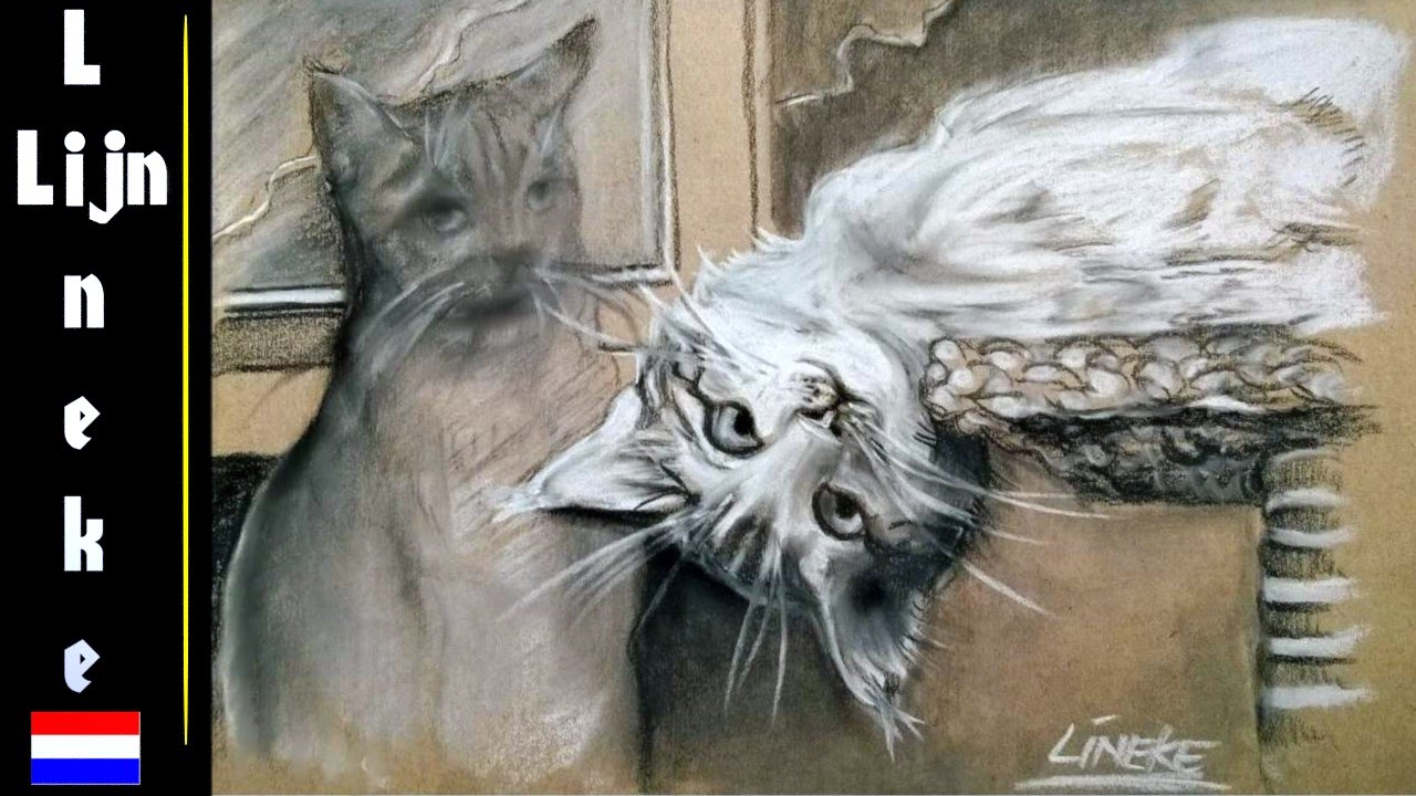 Eenvoudige Kat Potloodtekening