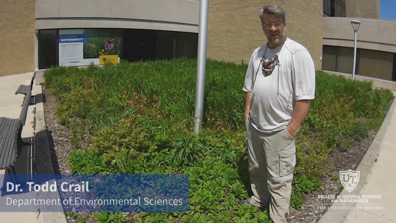 Dr. Todd Crail, Associate Lecturer in the Department of Environmental ...