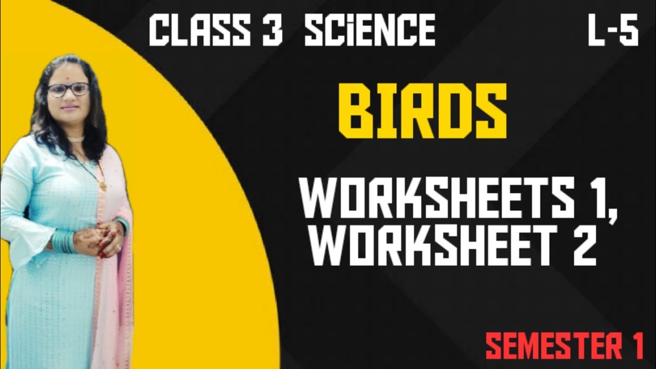 CLASS 3 SCIENCE CHAPTER 5 BIRDS/ SOLVED PEARL WORKSHEETS 1& 2 - YouTube