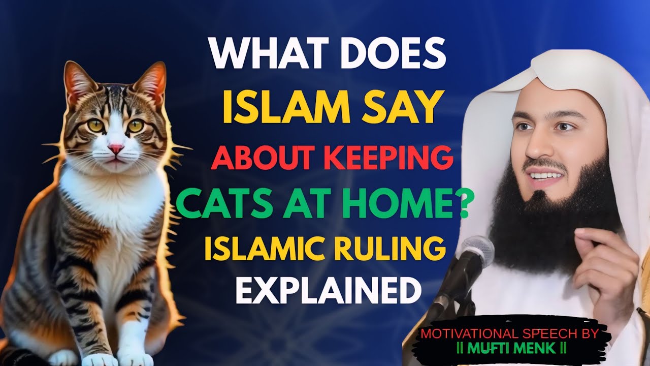 “What Does Islam Say About Keeping Cats at Home? | Islamic Ruling ...