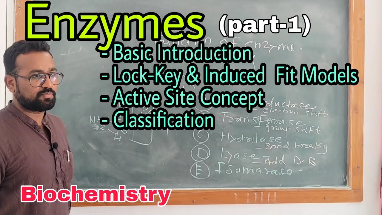 ENZYMES BIOCHEMISTRY | Active Site | Models of Enzyme Machanism ...
