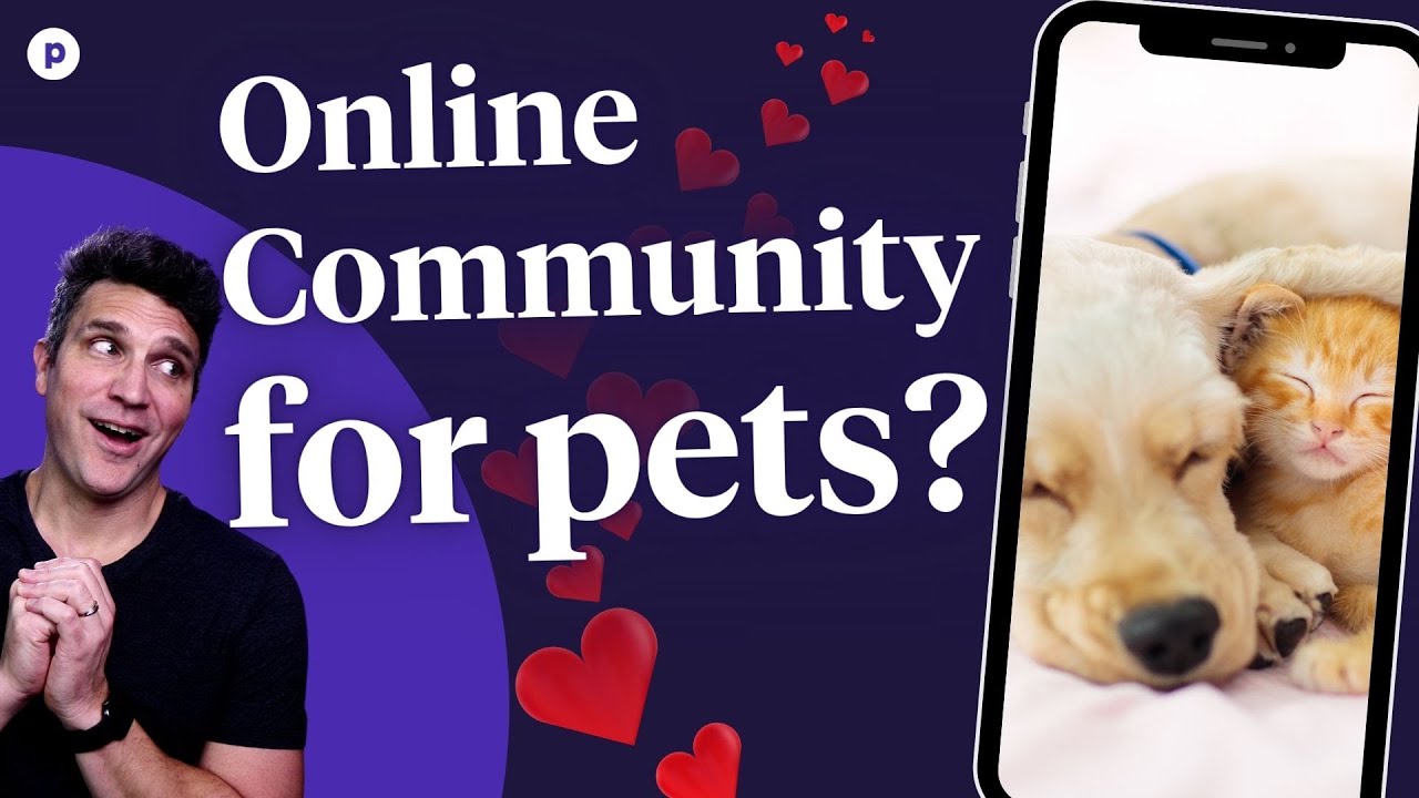 How to make an online community for adoring pet parents - YouTube