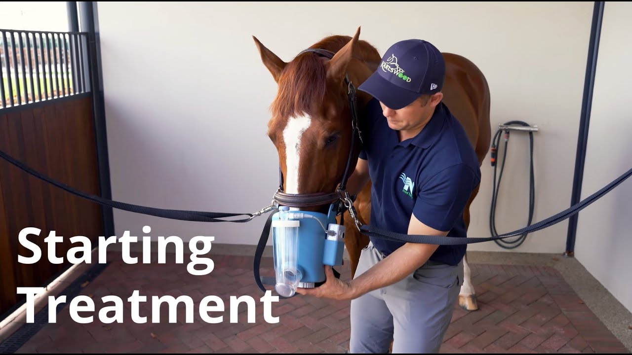 Starting Treatment | Flexineb® E3 - YouTube