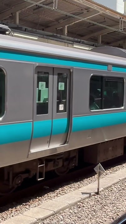 【横浜駅】E233系蒲田駅120周年記念ヘッドマーク付き 発車‼️ #鉄道 #jr - YouTube