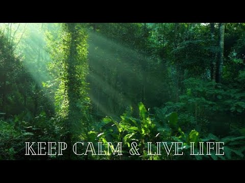 No Copyright Meditation & Relaxing Music | Royalty Free, free to use ...