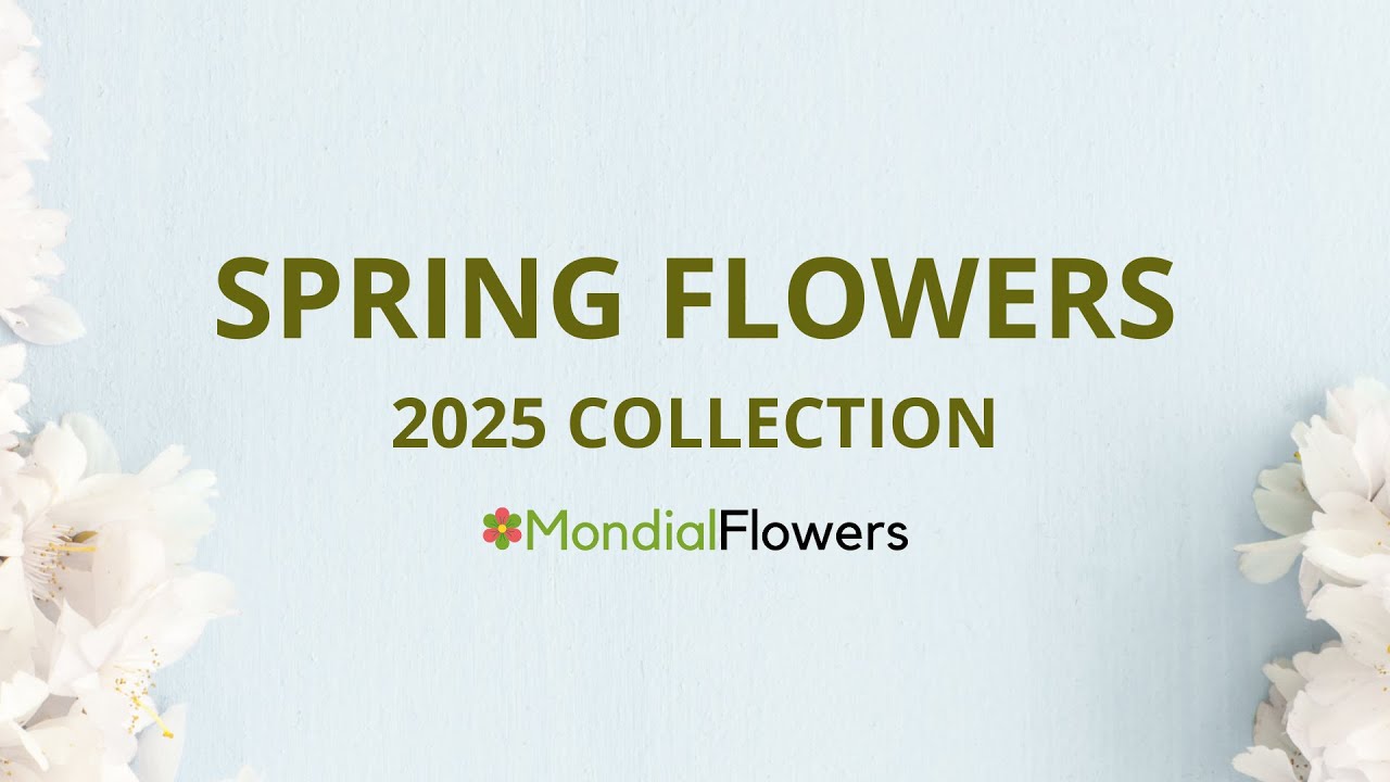 Spring Flowers 2025 Collection - Mondial Flowers - YouTube
