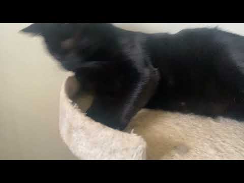 Brrrrrrrr prrrrrrr - YouTube