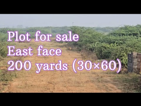 *East face Plot for sale* *200 yards*(30*60)Ready to construct house 🏠 ...