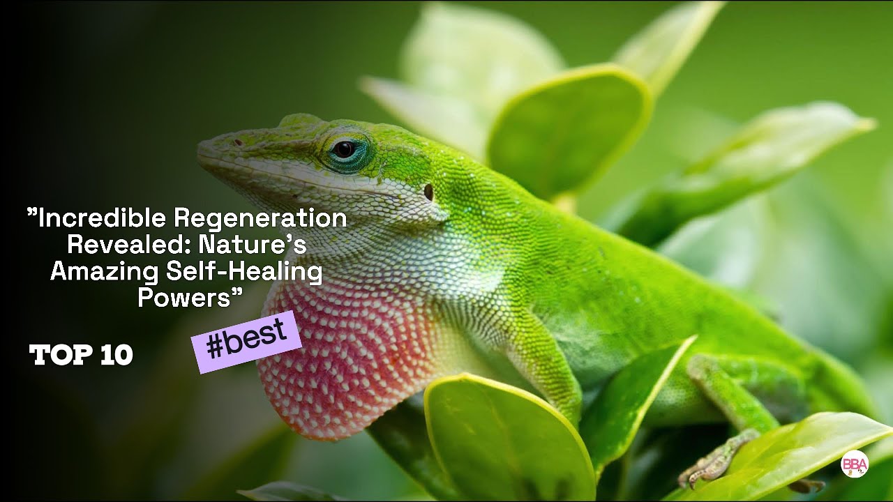 TOP 10 Incredible Regeneration Revealed: Nature's Amazing Self-Healing ...