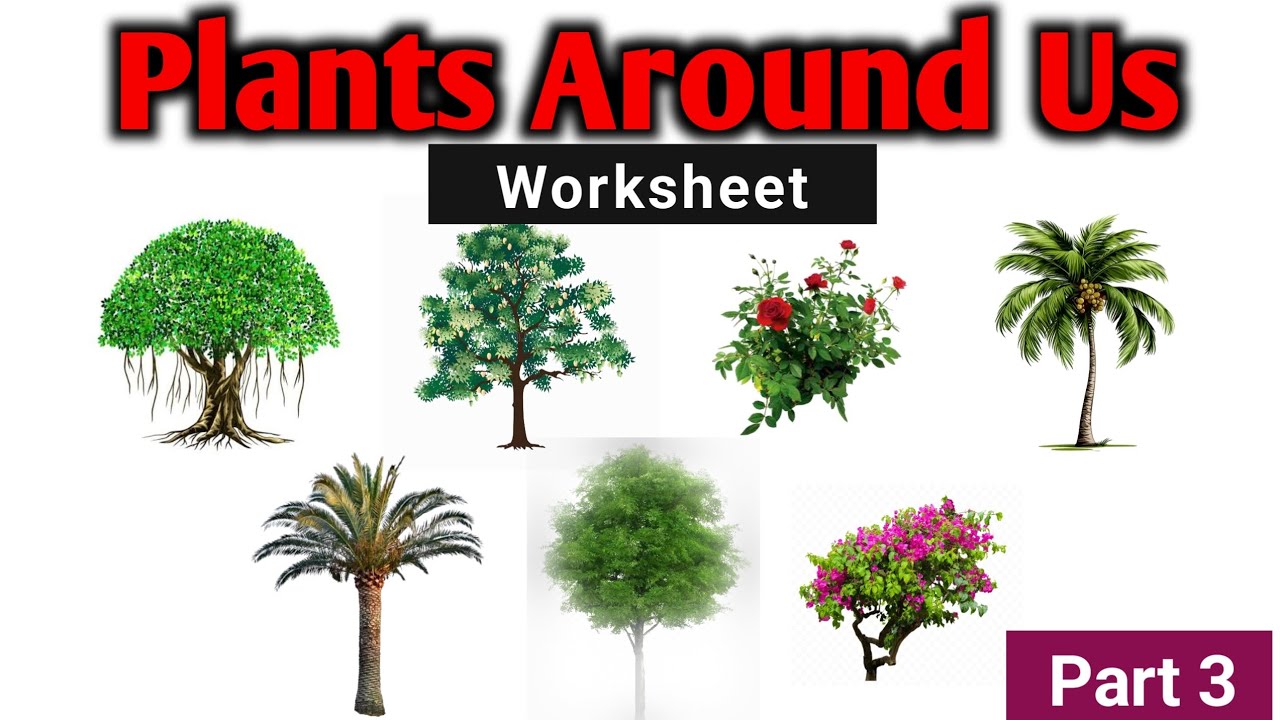 Plants around us | Worksheets | Part 3 | class1| Science - YouTube