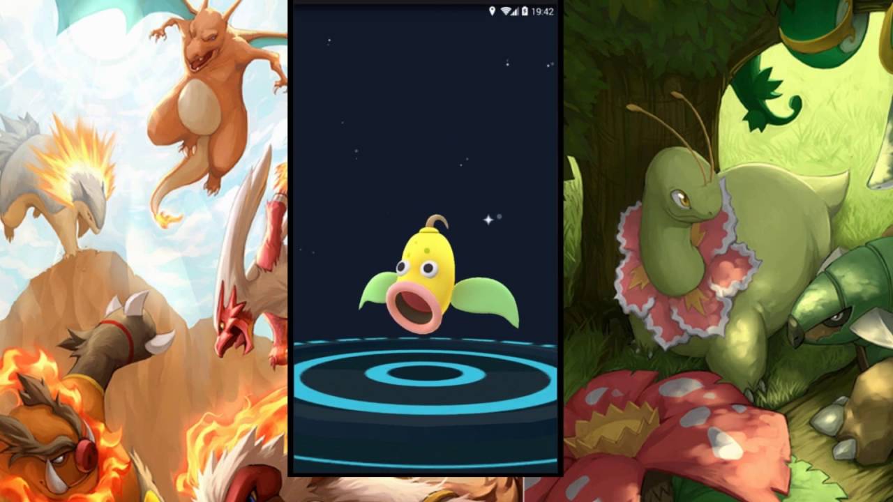 Pokemon Go - Best evolution ever, Bellsprout#069 (621CP) to Weepinbell ...