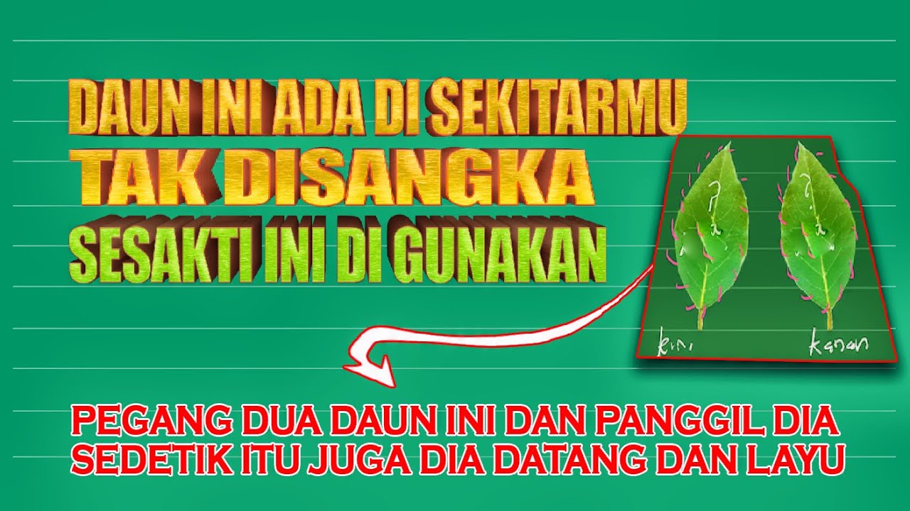 DIA PASTI TUNDUK !! CUKUP PEGANG DAUN PELET INI,SAAT ITU JUGA LAYU ...