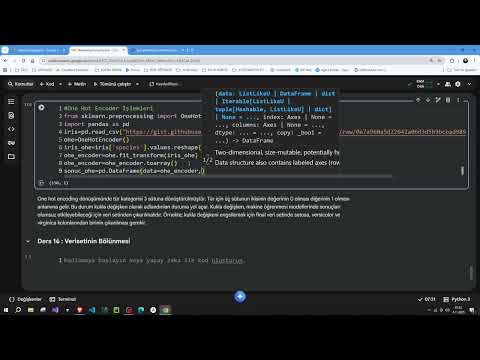 ML Ders 15 : Dummy Data - One Hot Encoder