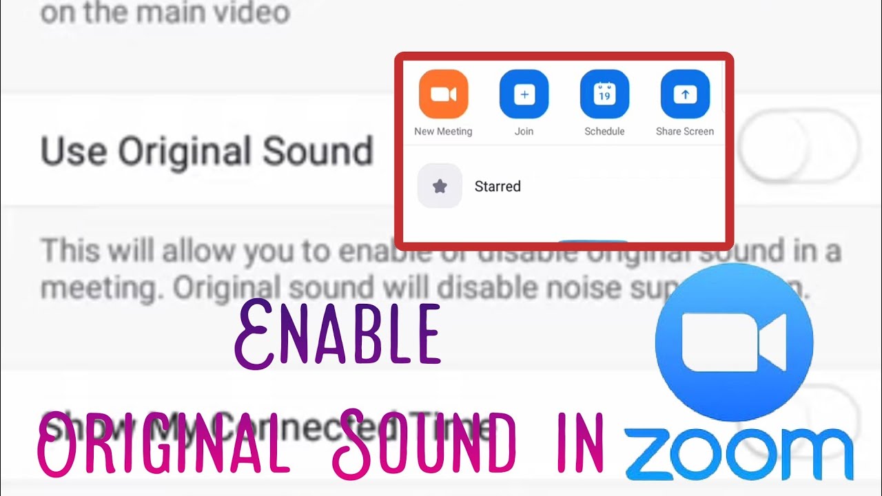 How to enable original sound while sharing screen in Zoom Meeting - YouTube