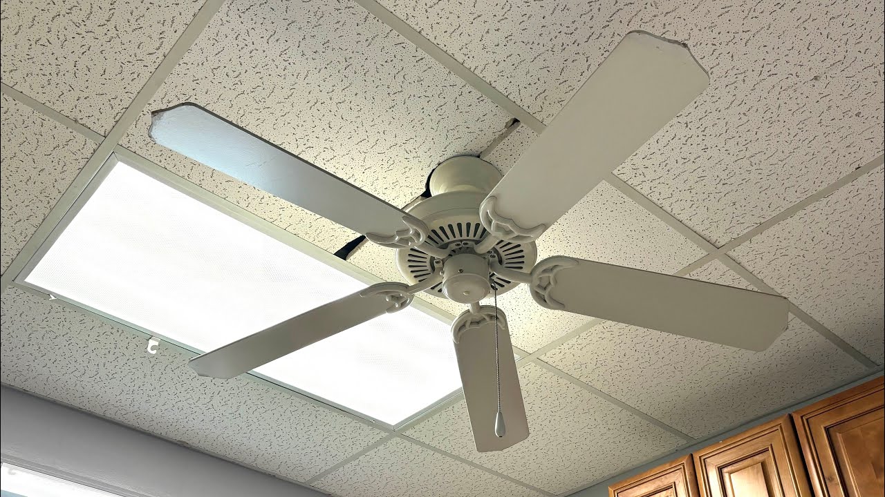 Hunter Installer’s Choice Ceiling Fan at a Veterinary Clinic - YouTube