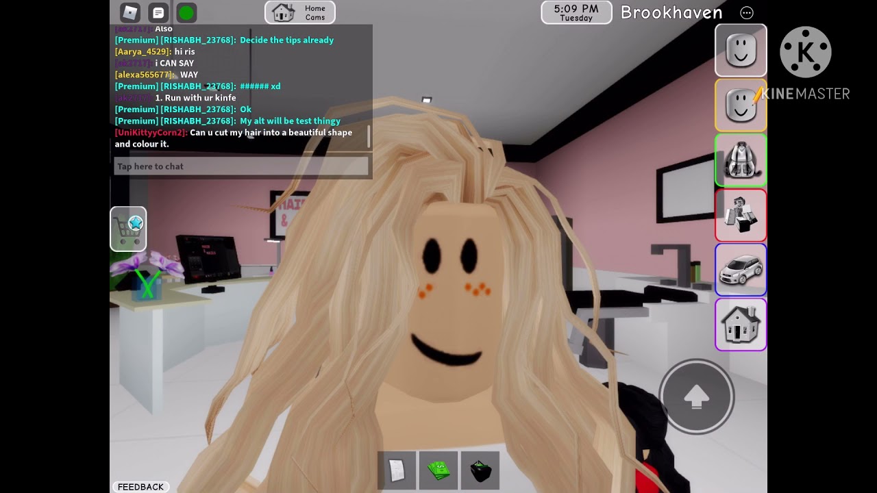 Rags to Riches /A Brookhaven short film...UniKittyCorn - YouTube