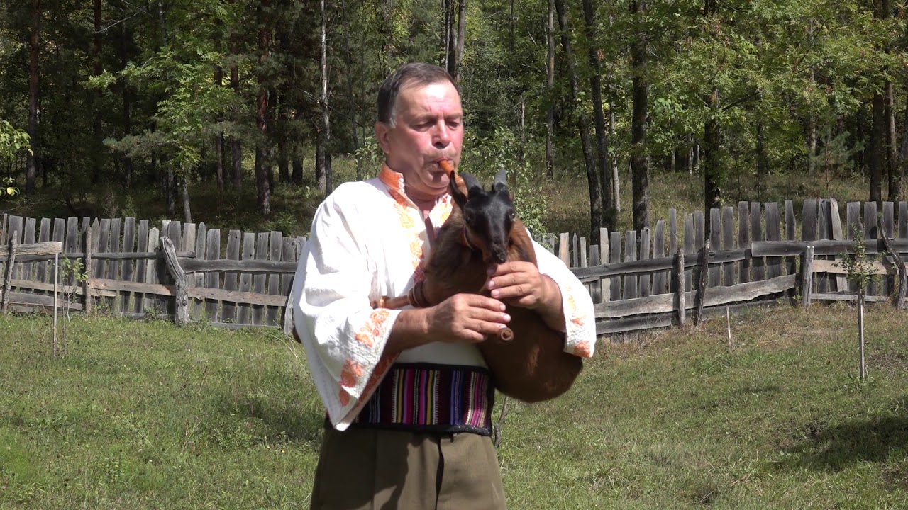 Neculai Stanciu’s hora - Moldavian Romanian Collection - VLACH - YouTube