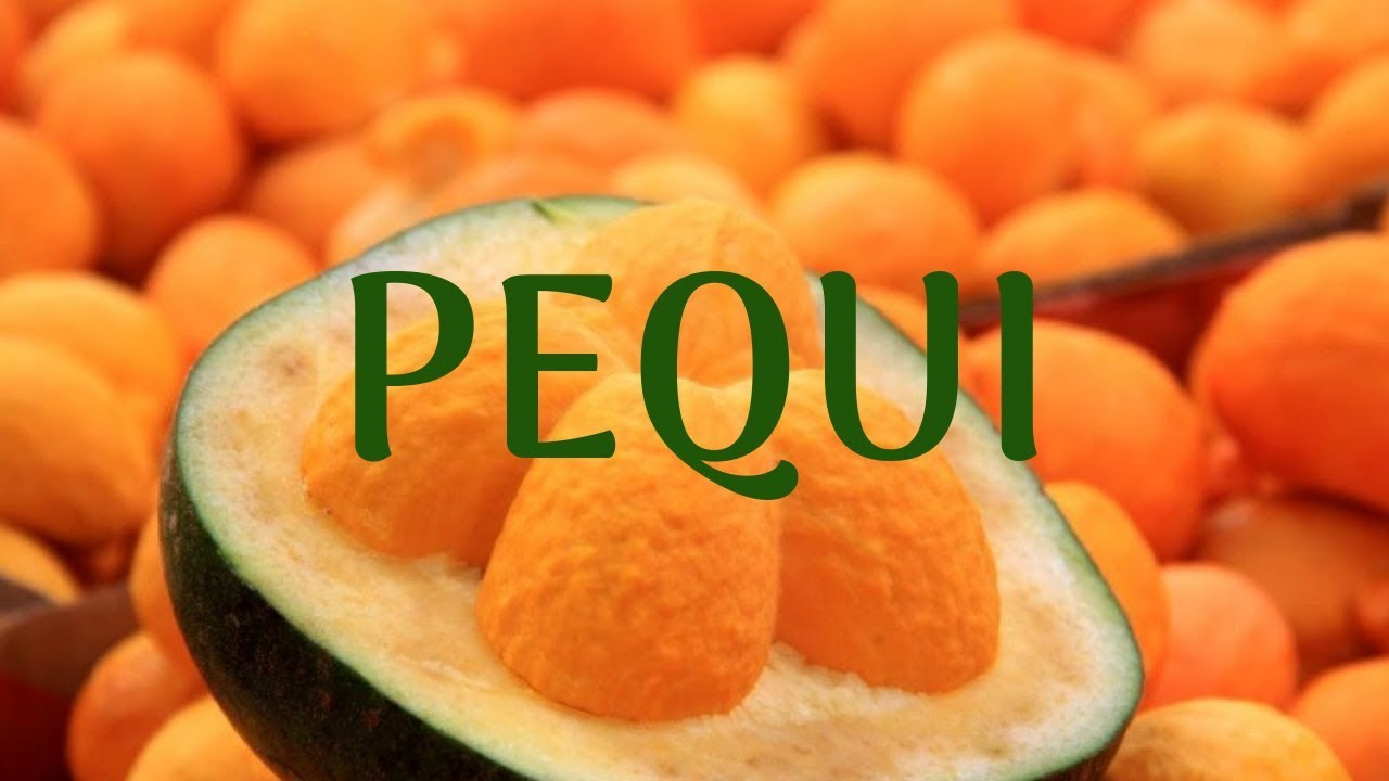 Pequi - Como preparar o ouro do cerrado! - YouTube