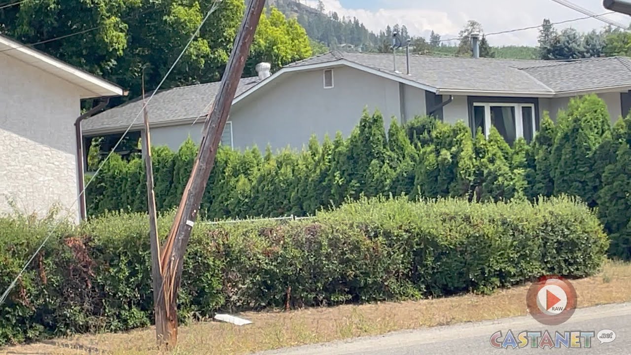 Tree knocks power out - YouTube