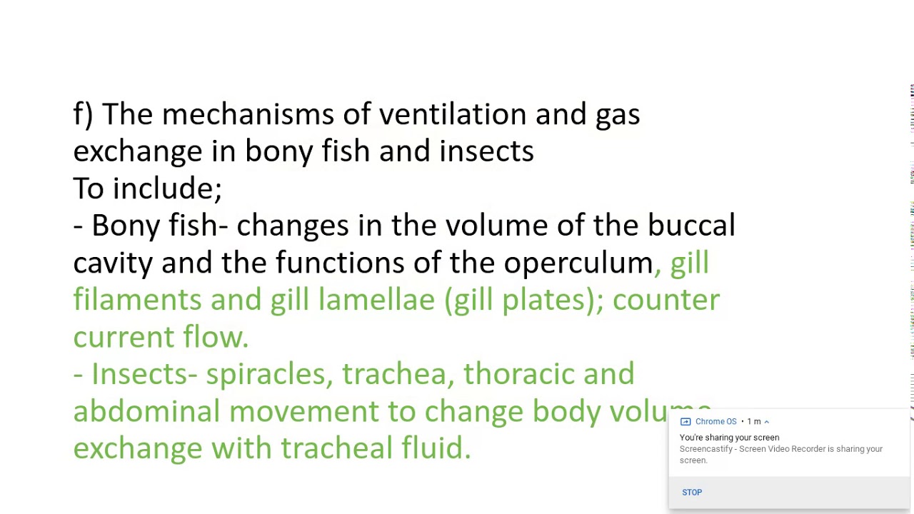 3.1.1. f) Gas exchange in fish - YouTube