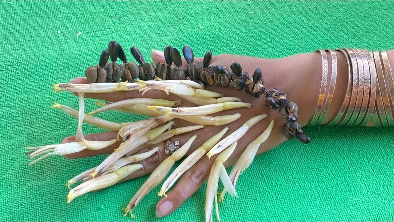 Fortunately remove seed ticks style on hand lady | Designed from ...