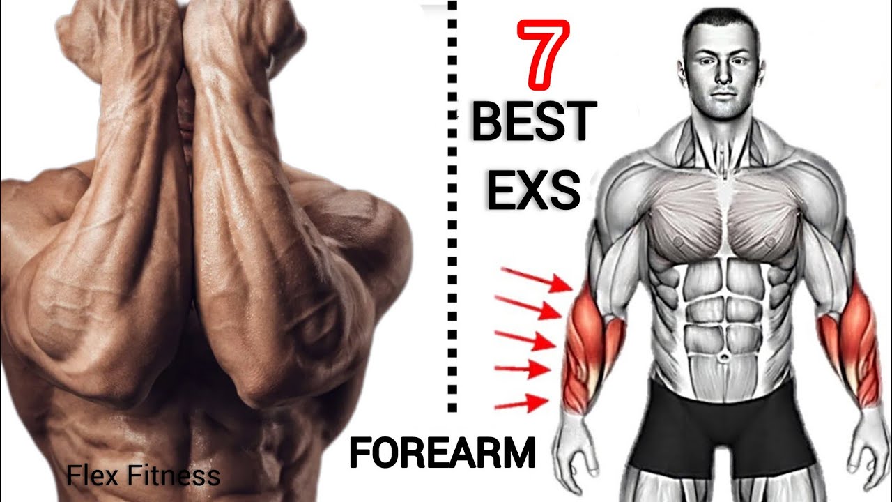 FOREARM EXERCISE! FLEX FITNESS! #forearmworkout #fitness #exercise # ...