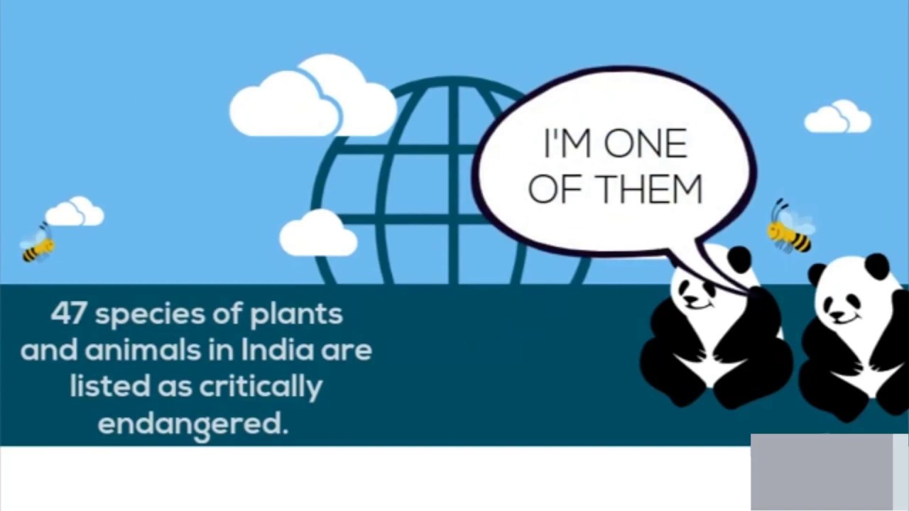 Humans are major threat to Environment!!! #Environmental Protection ...