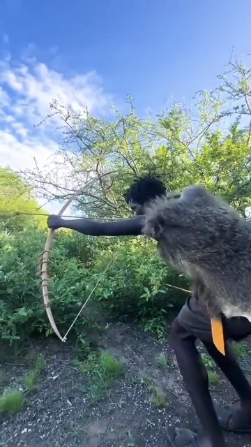 The still monkey on the tree branch and the hunter’s aim.#shortvideos # ...