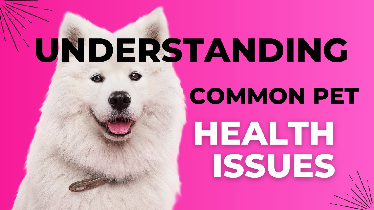 Understanding Common Pet Health Issues: A Guide for Caring Pet Parents ...