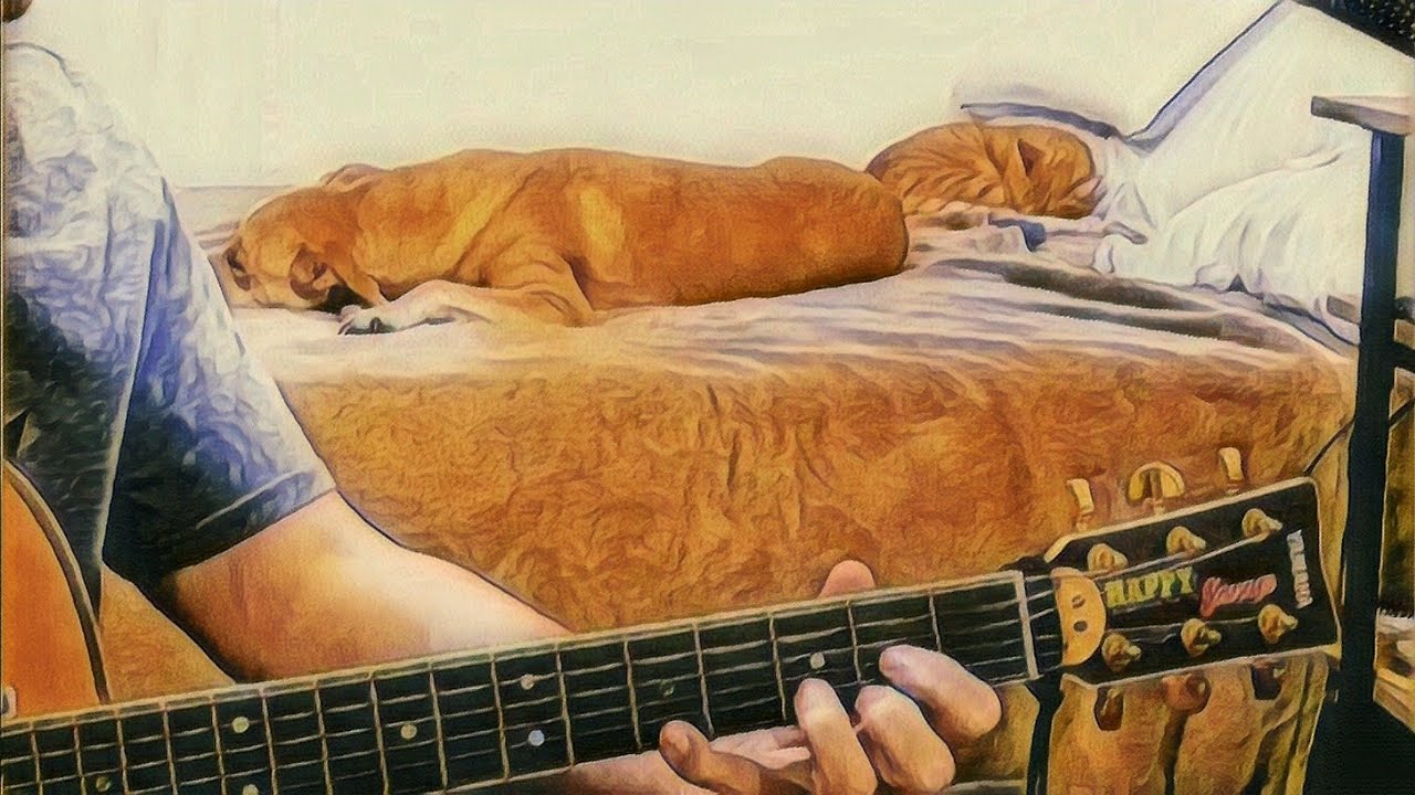 🎶CCR - Bad Moon Rising acoustic cover🎶 - YouTube