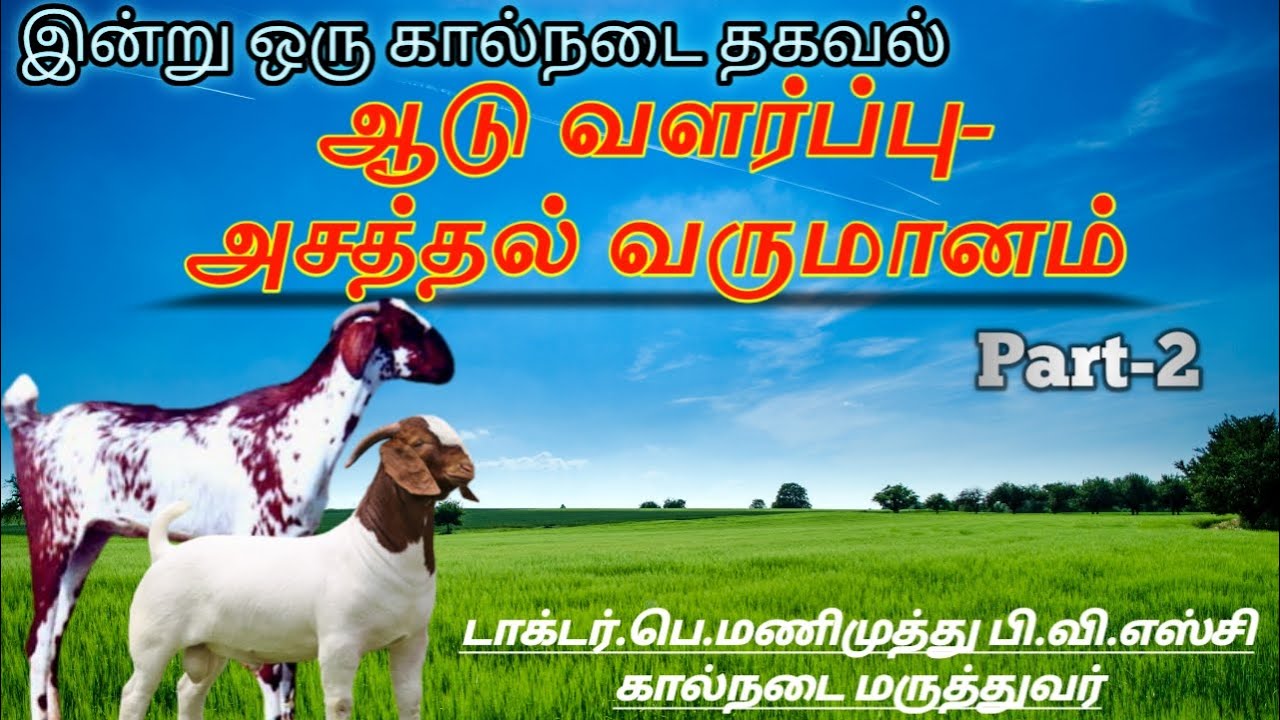 ஆடு வளர்ப்பு-அசத்தல் வருமானம் /PROFITABLE GOAT FARMING- tamil/PART -2 ...