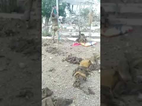 Suqovuşanda Azərbaycan Bayragını qaldıran Xüsusi təyyinatçı şəhidimiz Fuad Nəcəfov ve silah dostları