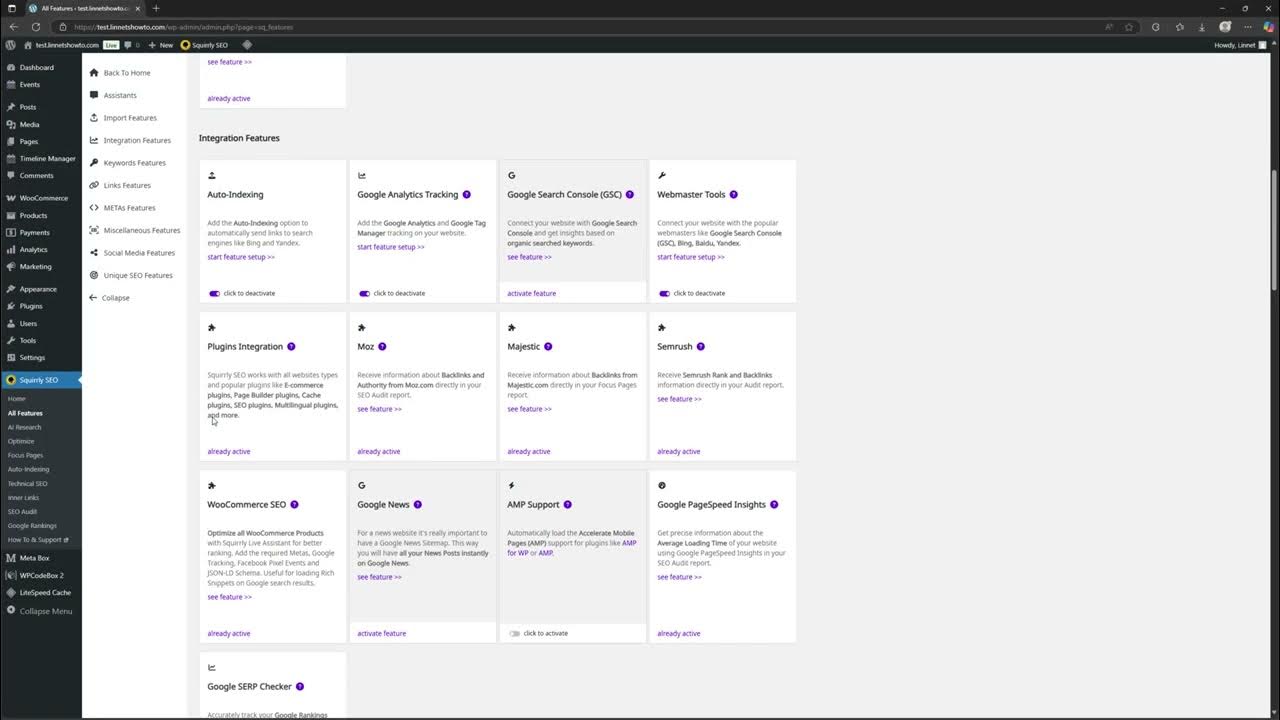 How Enable/Disable Frontend SEO Snippet Module Squirrly SEO WP - YouTube